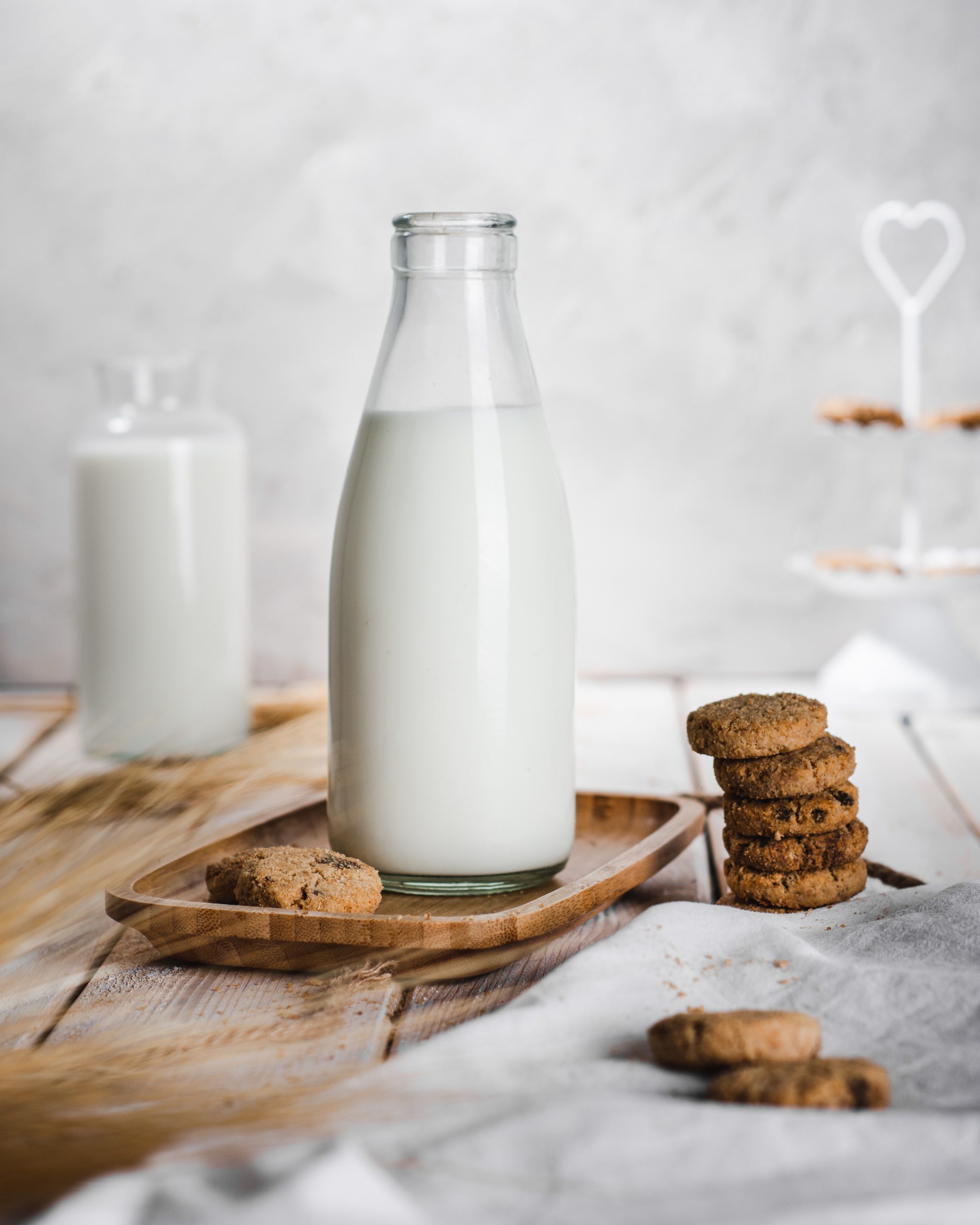 TRAITEMENT DU LAIT – Agrotrade
